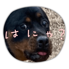kana_20231109204230 – LINE stickers | LINE STORE