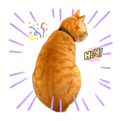cen_20231110215940 – LINE stickers | LINE STORE