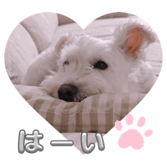 michu_20231112000317 – LINE stickers | LINE STORE