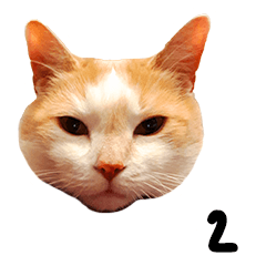 Kato Stickers 2 – LINE stickers | LINE STORE