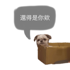 YU NAI YU_20231117112113 - LINE スタンプ | LINE STORE