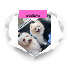 AngPao&PangPond – LINE stickers | LINE STORE