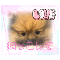 Heal me cute dog! – LINE stickers | LINE STORE