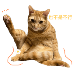 JFF_20231123160801 – LINE stickers | LINE STORE