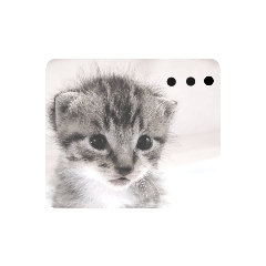 Monkichi_20231128145923 – LINE stickers | LINE STORE