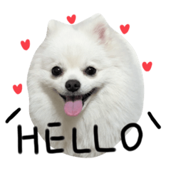 Janiceee - LINE スタンプ | LINE STORE