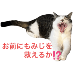 Flugel_20231128235438 – LINE stickers | LINE STORE