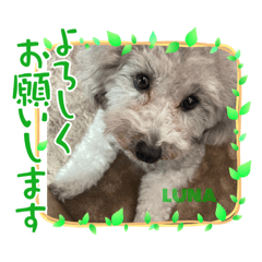 Mahki_20231129025313 – สติกเกอร์ LINE | LINE STORE