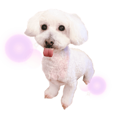 saccho_20231129214814 – สติกเกอร์ LINE | LINE STORE