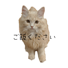 Baum_20231129230713 – LINE stickers | LINE STORE