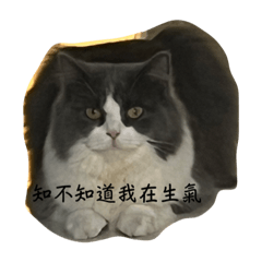 Diane_20231130230915 – Stickers LINE | LINE STORE