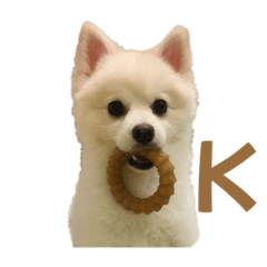 Jyan_20231201221225 – LINE stickers | LINE STORE