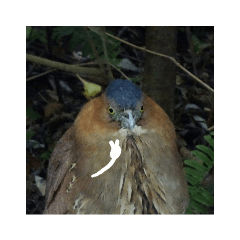 Leane_20231203142402 – LINE stickers | LINE STORE