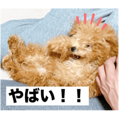 MOF_20231204233126 – LINE stickers | LINE STORE