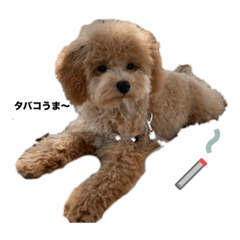 MOF_20231205000725 – LINE貼圖 | LINE STORE