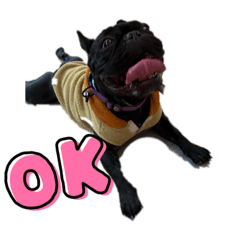 gran_20231205020436 – LINE stickers | LINE STORE