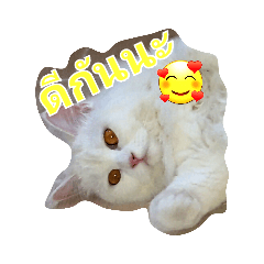 katoon_20231208071004 - LINE スタンプ | LINE STORE