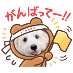 Asamin..._20231207185533 – LINE stickers | LINE STORE