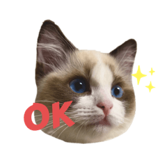 momonga_20231209203013 - Stiker LINE | LINE STORE