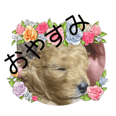 Uti_20231210112406 – LINE stickers | LINE STORE