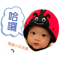 希希小包子 – LINE貼圖 | LINE STORE