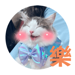 Olaf.cat – LINE stickers | LINE STORE