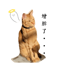 AMin_20231215202504 - Stiker LINE | LINE STORE