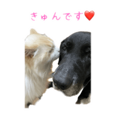 toi toi toi3_20231215184237 – LINE stickers | LINE STORE