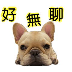 Mia Lin_20231219084507 - LINE スタンプ | LINE STORE