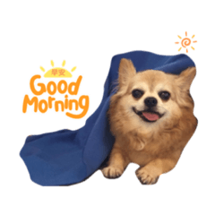 YIZU_20231219214951 – LINE stickers | LINE STORE