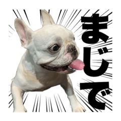 rrma_20231218185927 – LINE貼圖 | LINE STORE