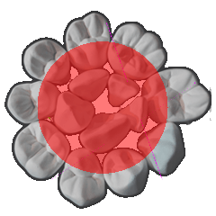 Molar & Premolar Sticker 41 | Yabe-LINE貼圖代購 | 台灣No.1，最便宜高效率的代購網