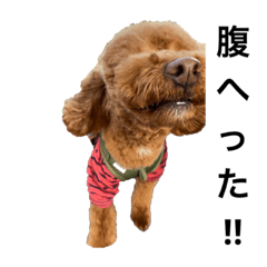 PAZUスタンプ - LINE スタンプ | LINE STORE