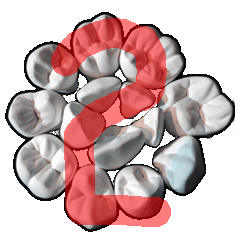 Tooth Sticker 2 Japanese+English – LINE stickers | LINE STORE