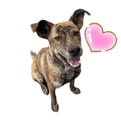 RuRu Ssu_20231227124736 – LINE stickers | LINE STORE