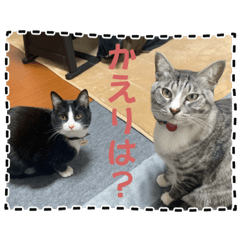 eighter_20231229132039 – LINE stickers | LINE STORE