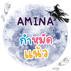AMINA Kam Mat Laeo One word e - LINE スタンプ | LINE STORE