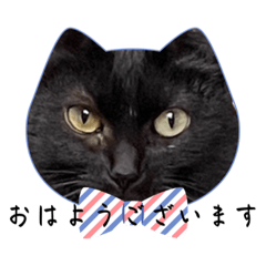 Chacha_20231230210302 – LINE貼圖 | LINE STORE