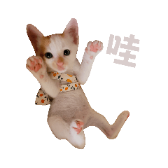 Meng_20240101023239 - LINE スタンプ | LINE STORE