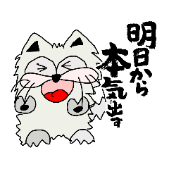 Sanpui_20231230203551 – LINE stickers | LINE STORE