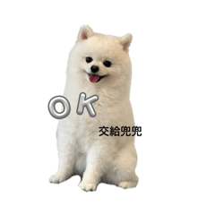 Suntory_20240102151428 – LINE stickers | LINE STORE