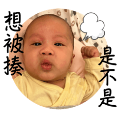 Apie_20240103113904 - LINE スタンプ | LINE STORE