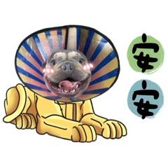 Livy_20240103233640 – LINE stickers | LINE STORE