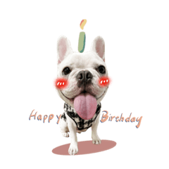 G forest_20240101232650 – สติกเกอร์ LINE | LINE STORE