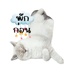 Puan SKL_20240105105925 – LINE stickers | LINE STORE