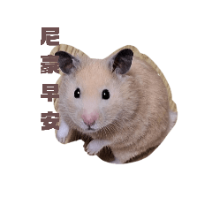 yccc._20240107035639 – LINE stickers | LINE STORE