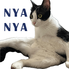 Nya Nya Caaat - LINE スタンプ | LINE STORE