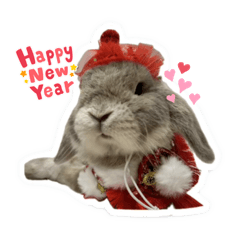 Bunny Bae!! | Yabe-LINE貼圖代購 | 台灣No.1，最便宜高效率的代購網