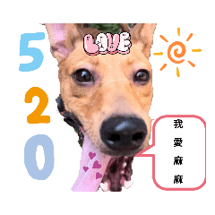 SYU,JIA-RONG_20240114194313 – LINE stickers | LINE STORE