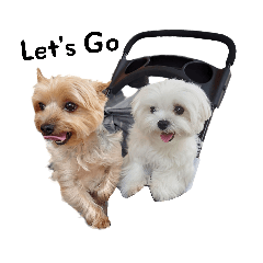 Maggie Leon and Friends – LINE stickers | LINE STORE